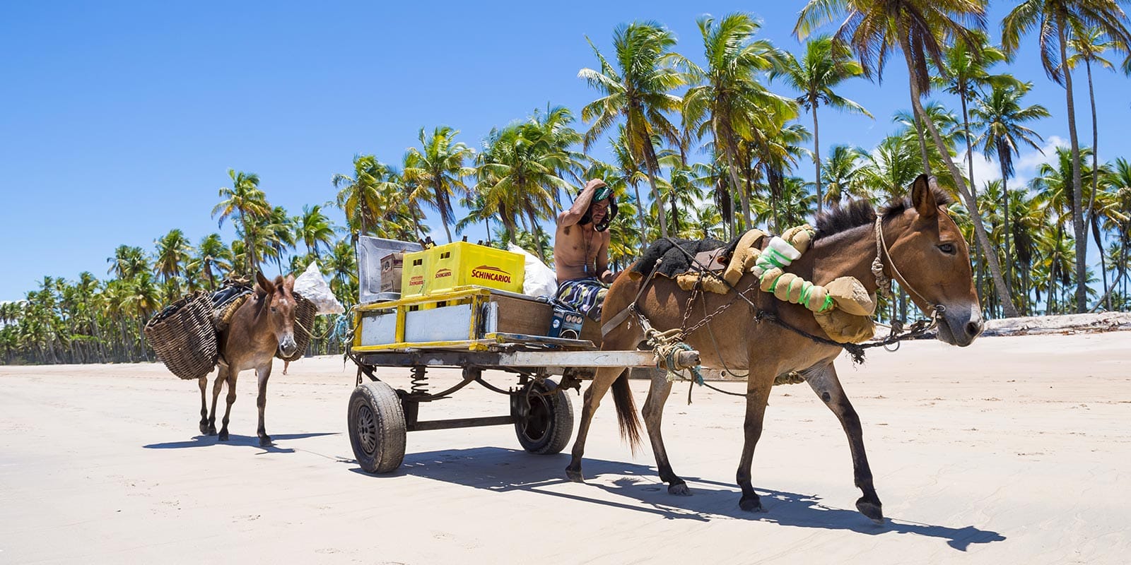 Boipeba - Alter Nativ Bresil