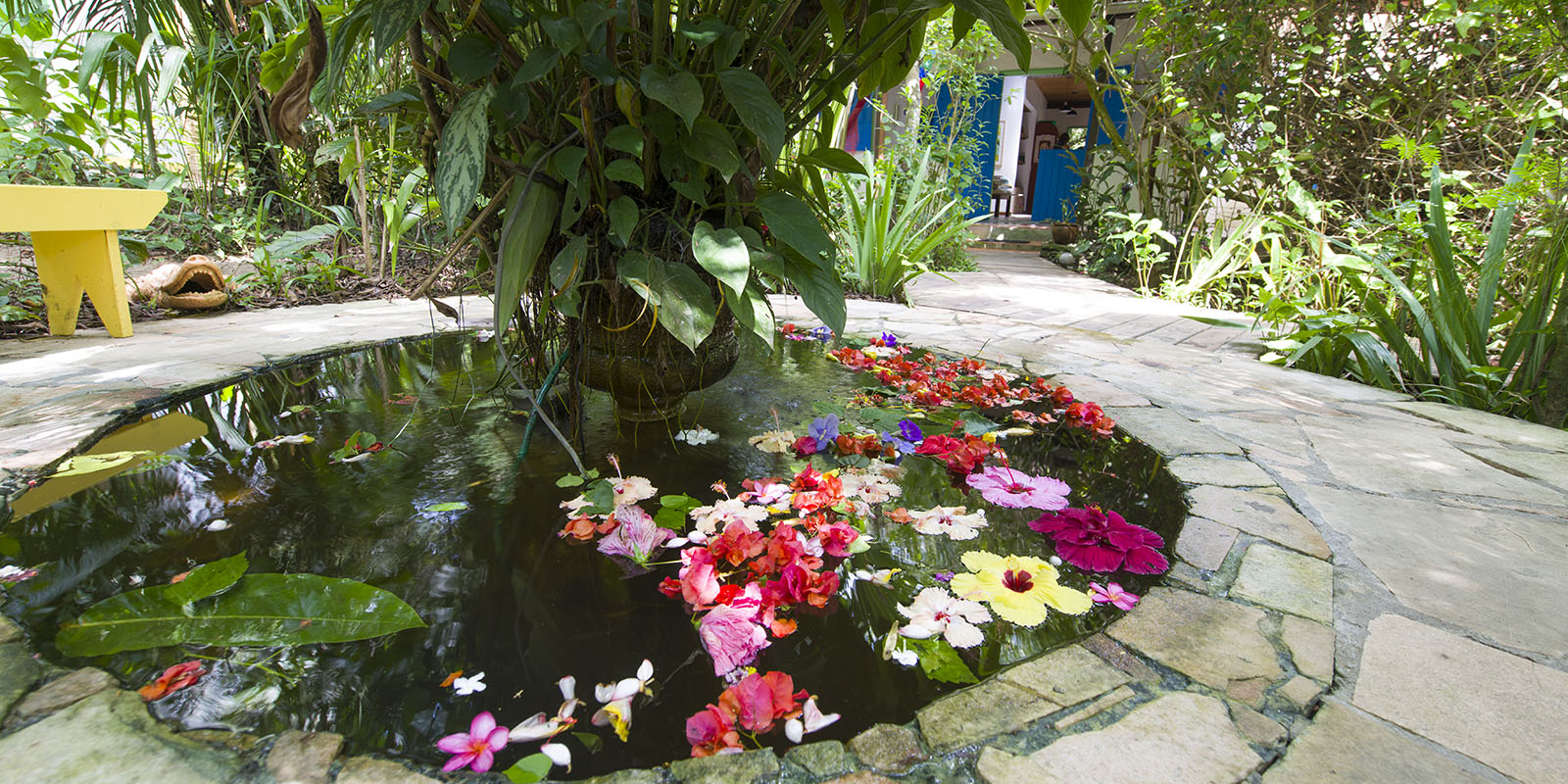 Santa Clara - Alter Nativ Bresil